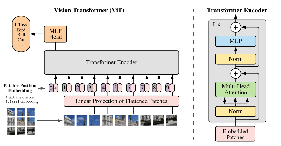 Image Classification With Hugging Face Transformers And `keras`